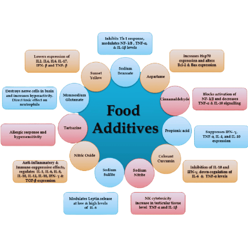 Understanding Common Food Additives: Insights from the Food and Drug ...
